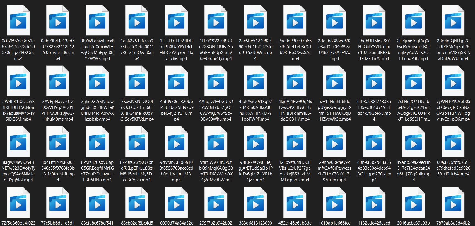 Complete Guide to Bunkr File: Everything You Need to Know | Consumer Uk